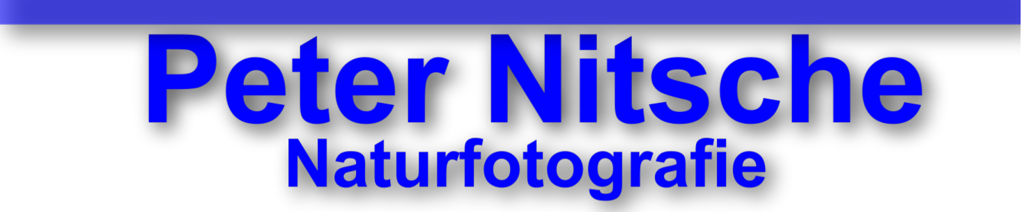 Home [www.peter-nitsche.de]